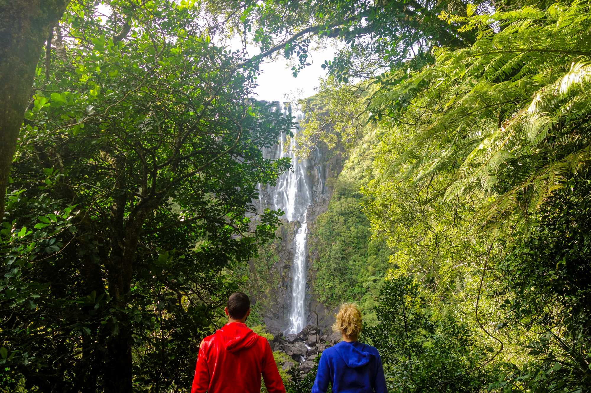 Kilometers Lovers : des passionnés de HelpX en Nouvelle-Zélande