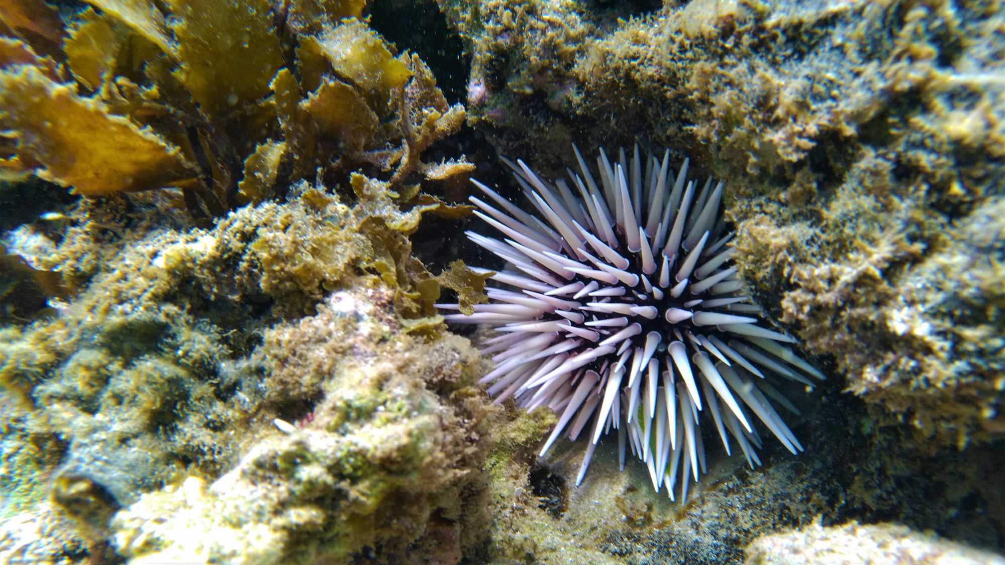 Découvrez les superbes randonnées dans les Samoa - Voyage Samoa & Samoa US