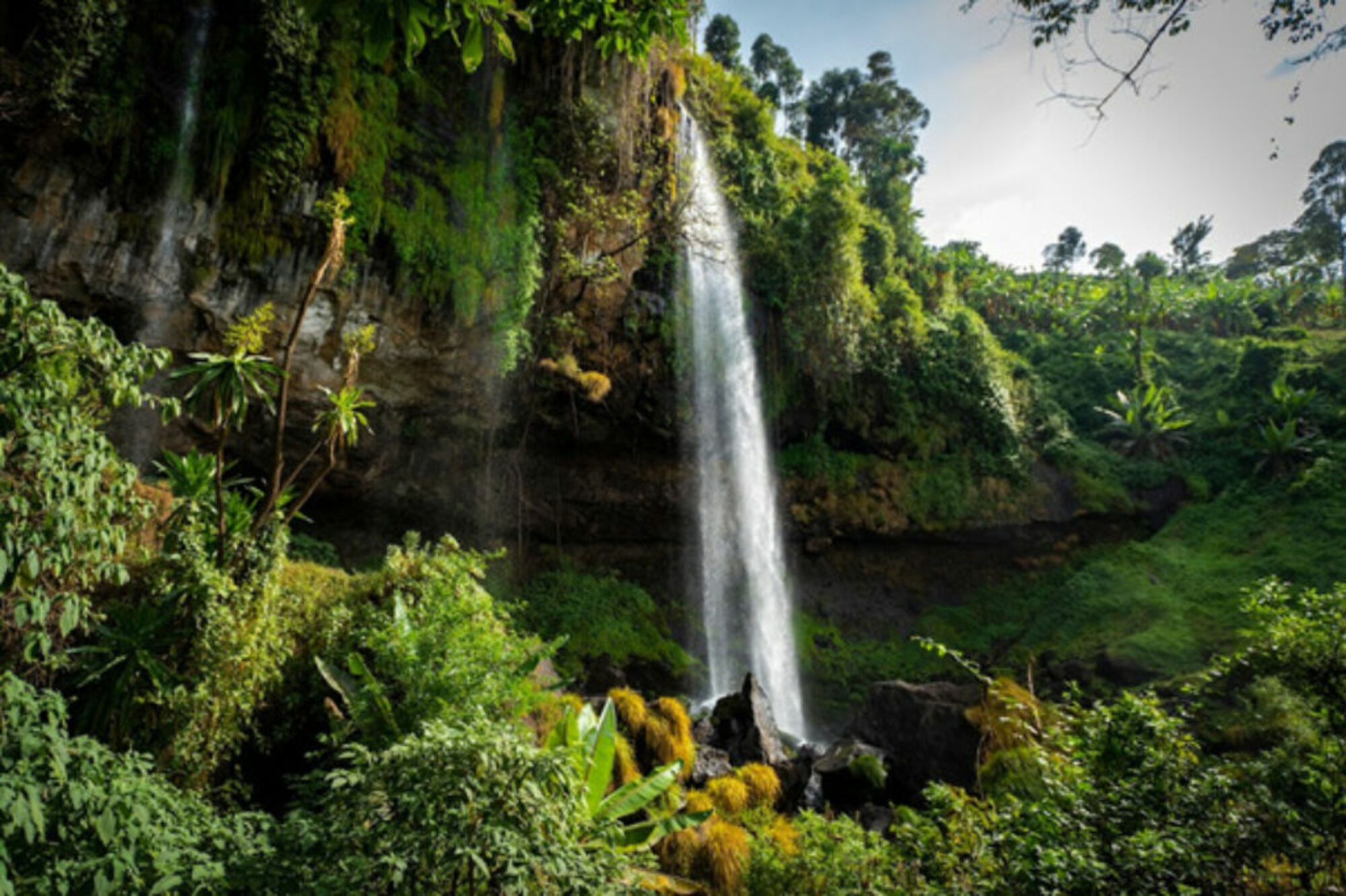 Que voir et que visiter pendant un voyage en Ouganda ? Quel budget