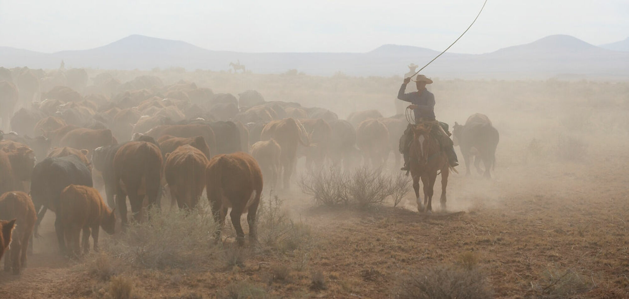 Comment dormir dans un ranch aux USA pendant un voyage