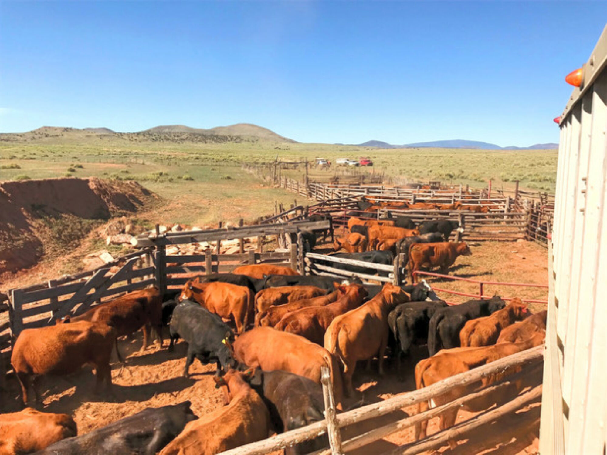Comment dormir dans un ranch aux USA pendant un voyage